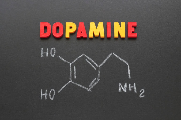 La Dopamine est un élément clé de notre santé