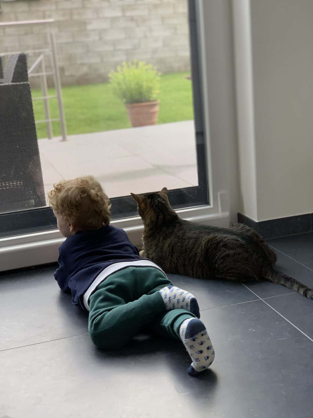 La médiation animale – Letz be healthy La médiation animale Animaux